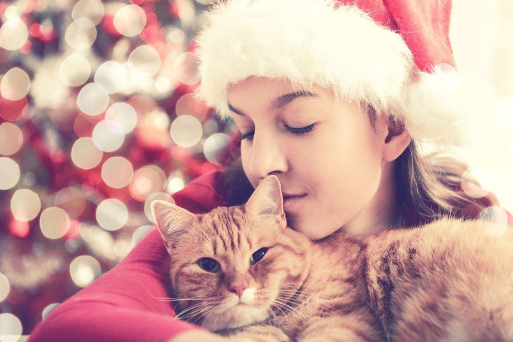 Dangerous Foods for Cats to Eat at Christmas - Simpsons Premiun ...